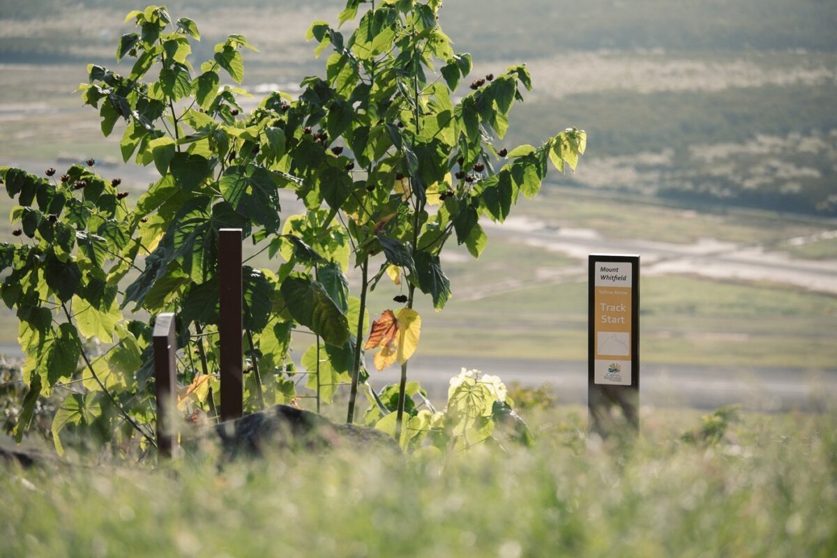 Cairns Arrow Tracks: Red & Blue Arrow (Mount Whitfield Loop)