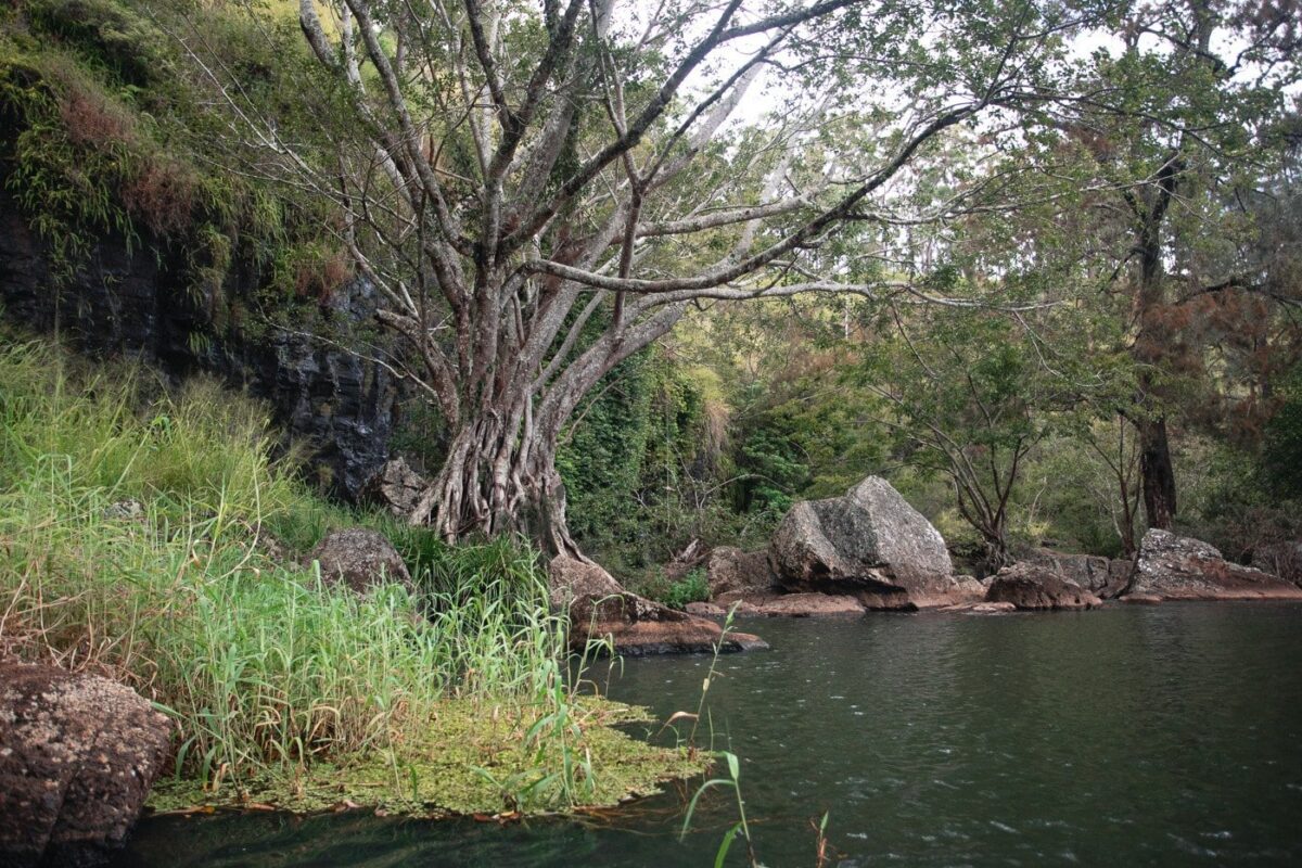 Visiting Millstream Falls & Little Millstream Falls: Complete Guide