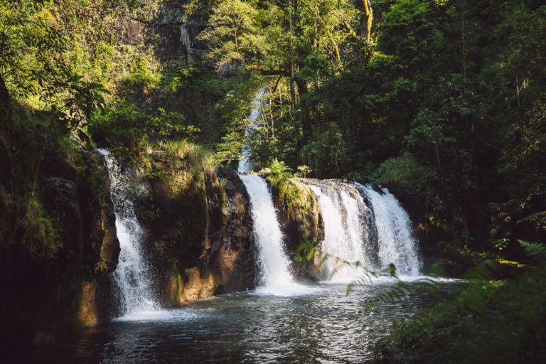Nandroya Falls: Hiking & Waterfall Guide From Cairns