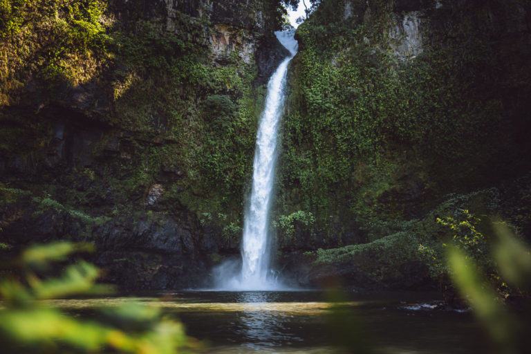Nandroya Falls: Hiking & Waterfall Guide From Cairns