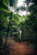 Windin Falls Hike: Infinity Pool Waterfall Near Cairns