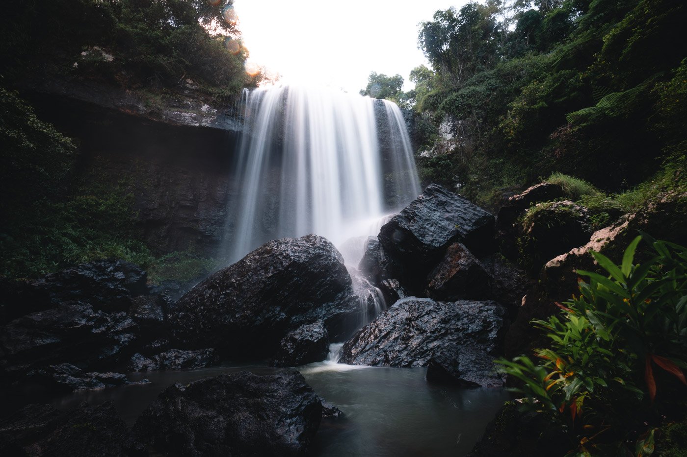 Zillie Falls, Millaa Millaa, Queensland - What to Expect – We Seek Travel
