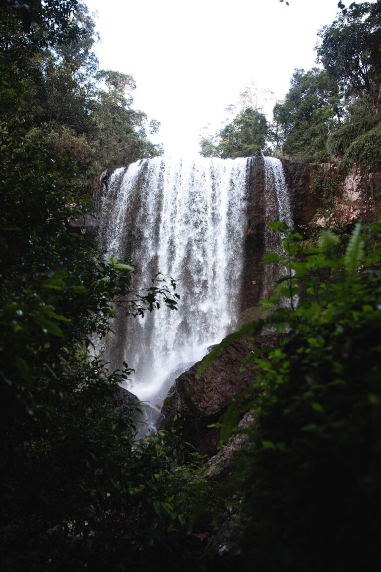 Zillie Falls in Millaa Millaa, Queensland: Complete Guide