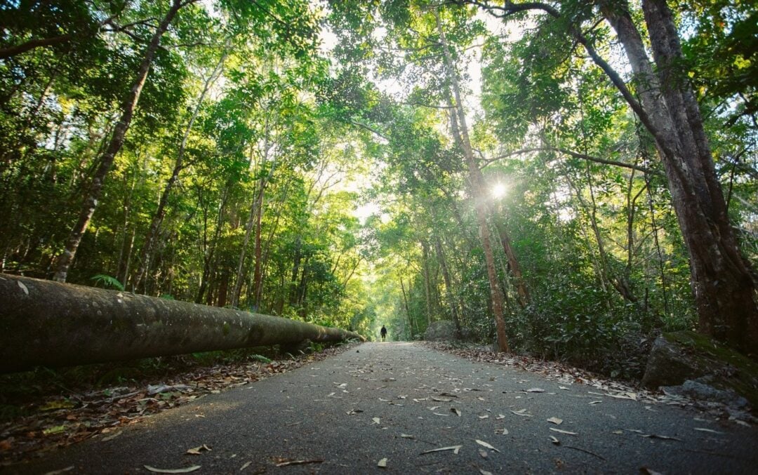 Hiking in the Behana Gorge to Clamshell Falls from Cairns