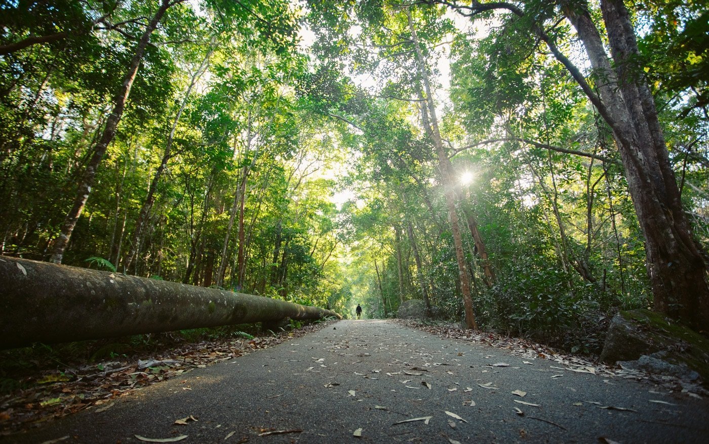 Clamshell Falls on the Behana Gorge Waterfall Track - Cairns Hiking ...