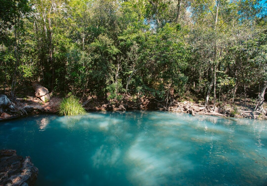 Visiting Cardwell Spa Pools in Queensland: Complete Guide