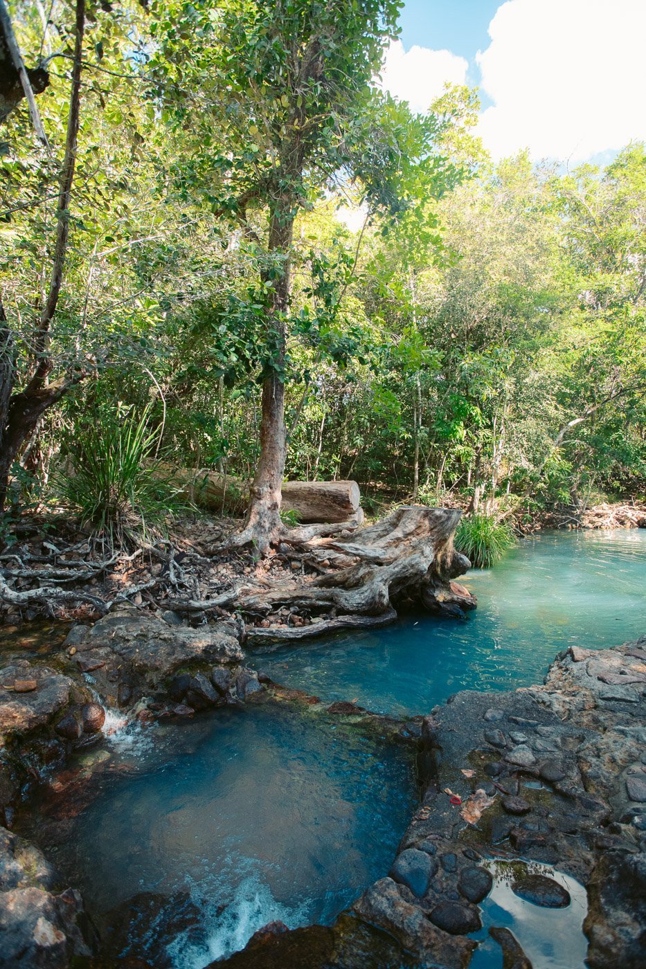 Visiting Cardwell Spa Pools in Queensland: Complete Guide