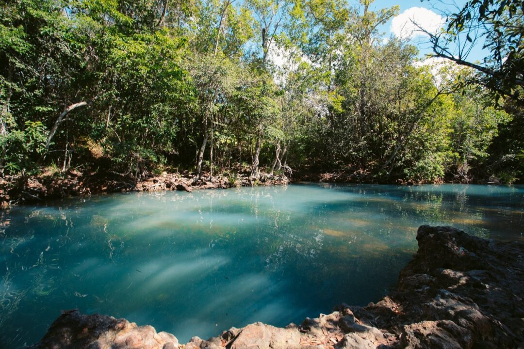 Visiting Cardwell Spa Pools in Queensland: Complete Guide