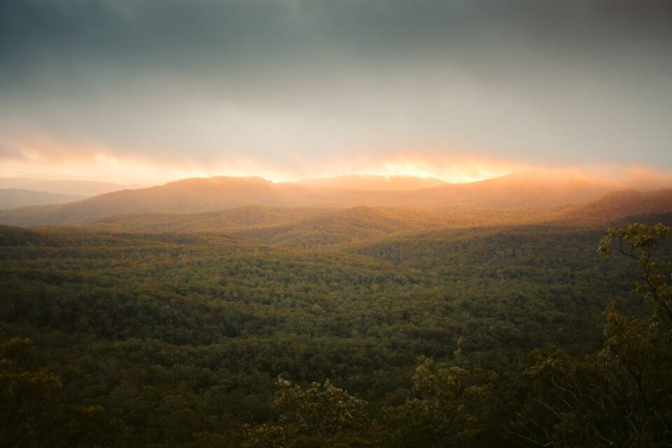 Turtle Rock Hike: Epic Lookout Trail (Cairns)