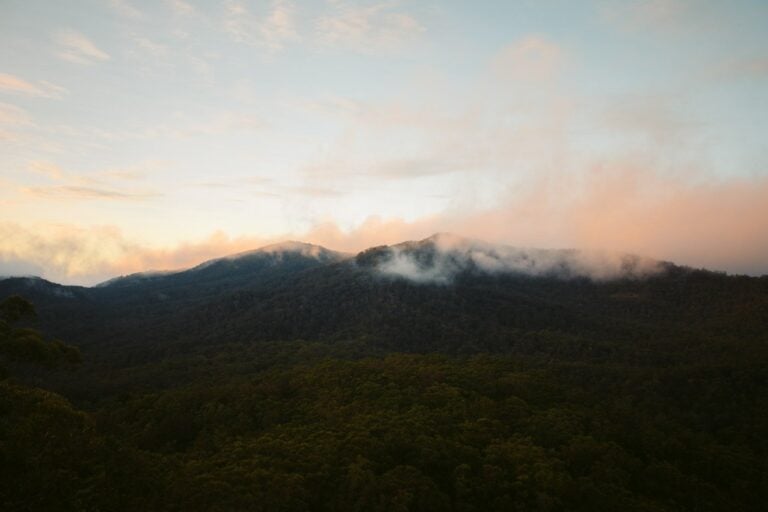 Turtle Rock Hike: Epic Lookout Trail (Cairns)