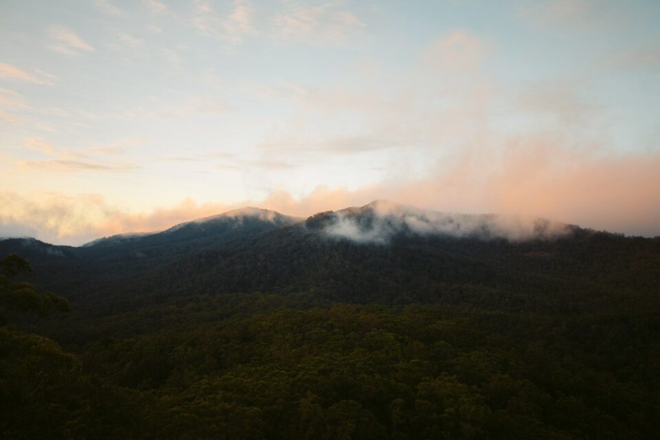 Turtle Rock Hike: Epic Lookout Trail (Cairns)