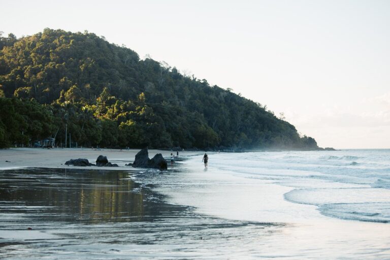 Etty Bay is The Best Place to Spot Cassowaries in Queensland
