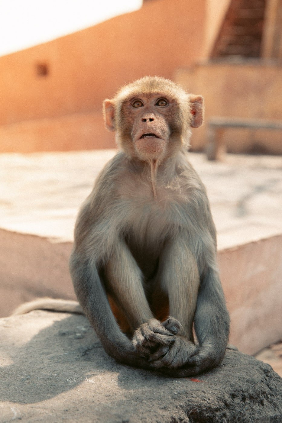 7 Best Jaipur Viewpoints for Magical Sunset Views