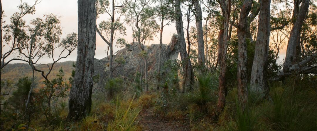 Turtle Rock Hike: Epic Lookout Trail (Cairns)