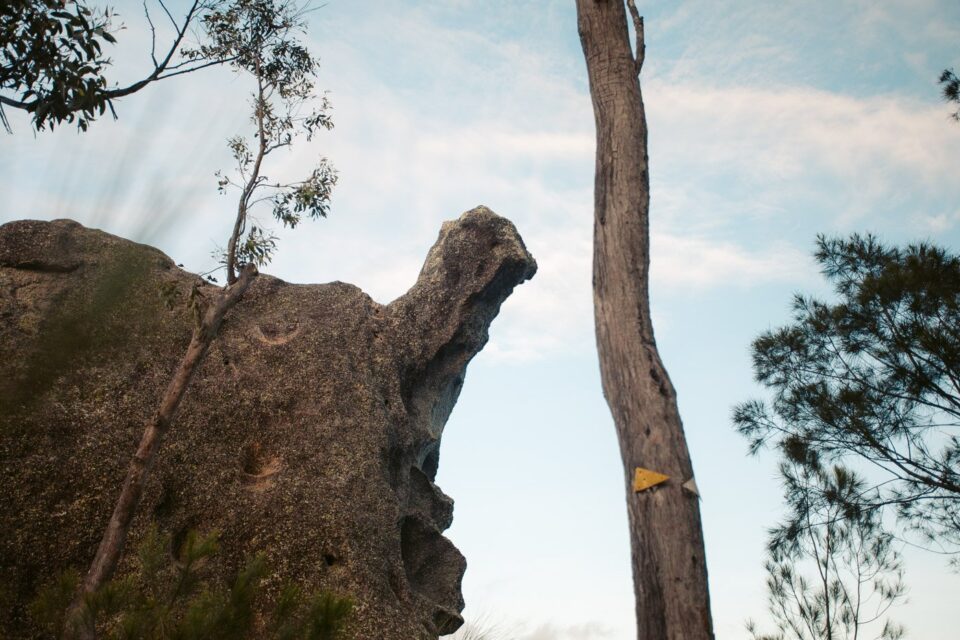Turtle Rock Hike: Epic Lookout Trail (Cairns)
