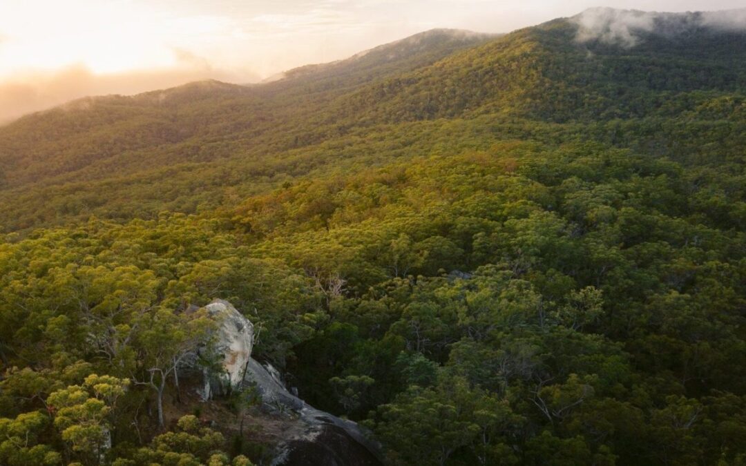 Turtle Rock Hike: Epic Lookout Trail (Cairns)