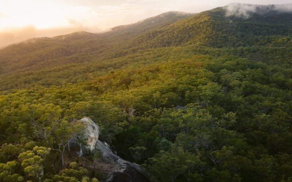 Turtle Rock Hike: Epic Lookout Trail (Cairns)