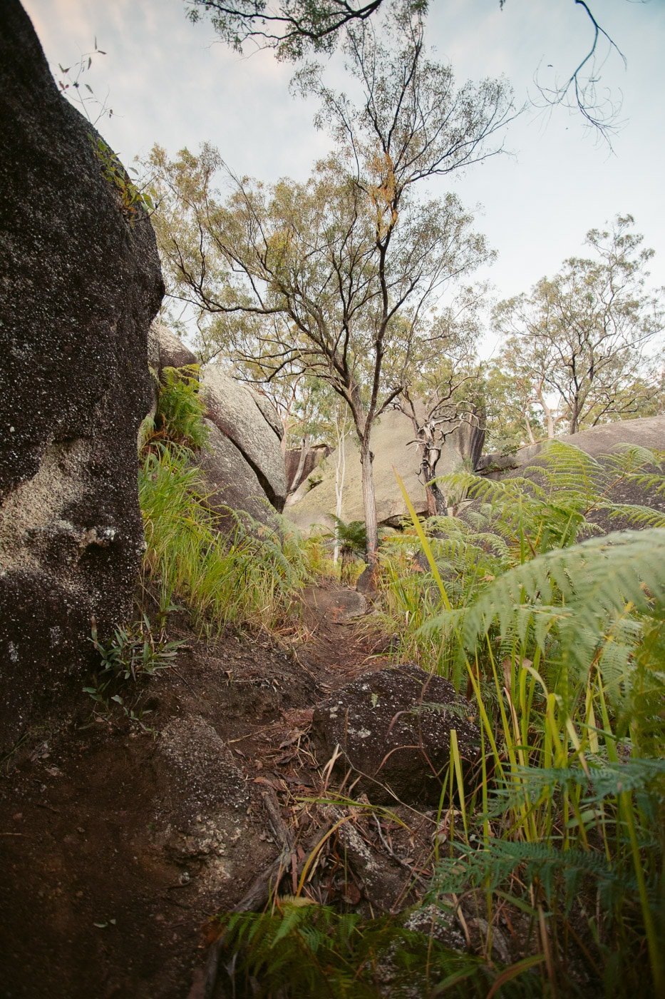 Turtle Rock Hike - Cairns Hiking Guide – We Seek Travel