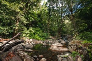 West Mulgrave Falls Hike: FNQ's Best-Kept Secret (Cairns)