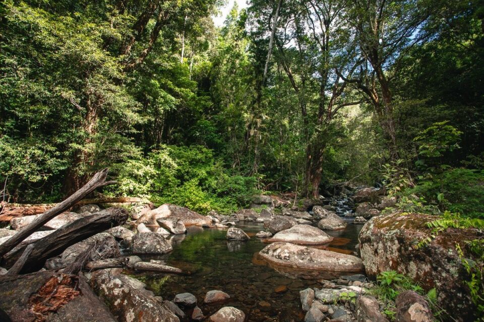 West Mulgrave Falls Hike: FNQ's Best-Kept Secret (Cairns)
