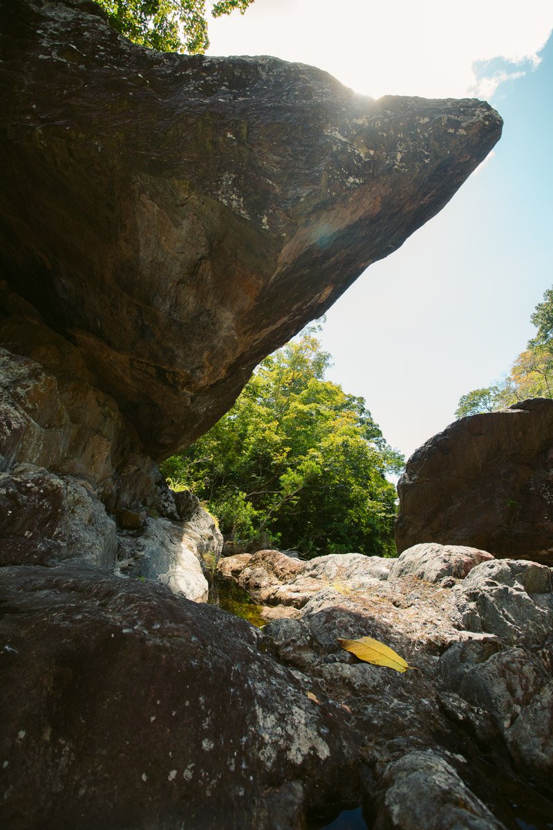 Spring Creek Falls Hike in Port Douglas: Complete Guide