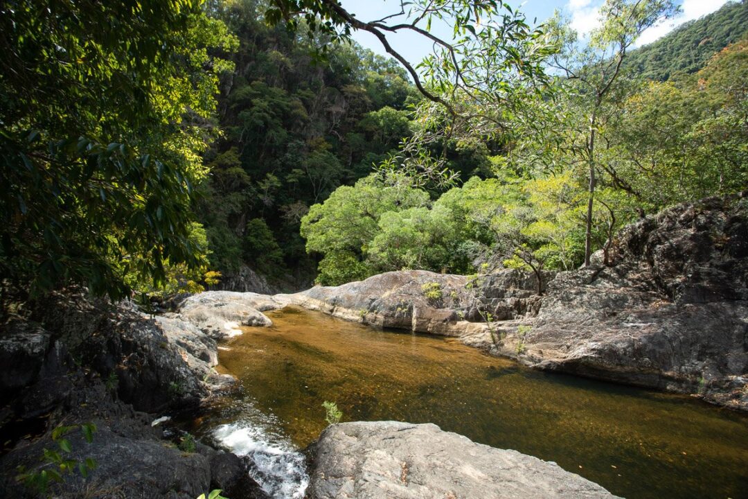 Spring Creek Falls Hike in Port Douglas: Complete Guide