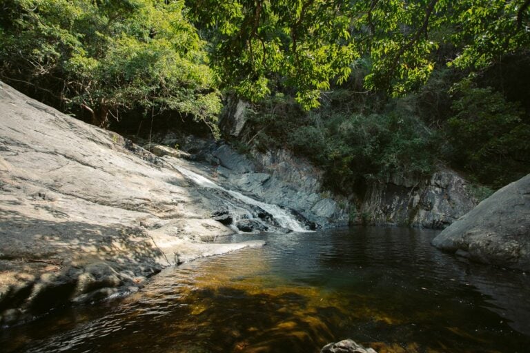 Spring Creek Falls Hike in Port Douglas: Complete Guide