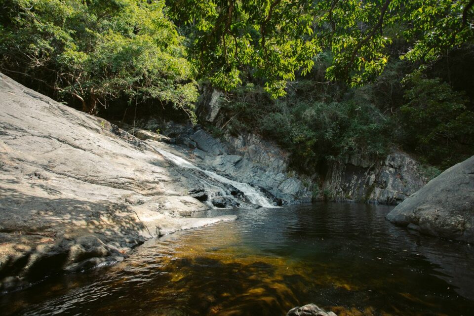 Spring Creek Falls Hike in Port Douglas: Complete Guide