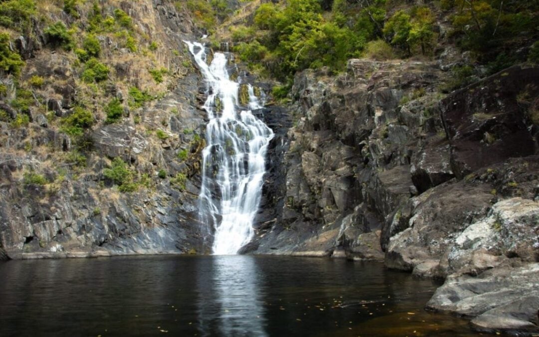 Spring Creek Falls Hike in Port Douglas: Complete Guide
