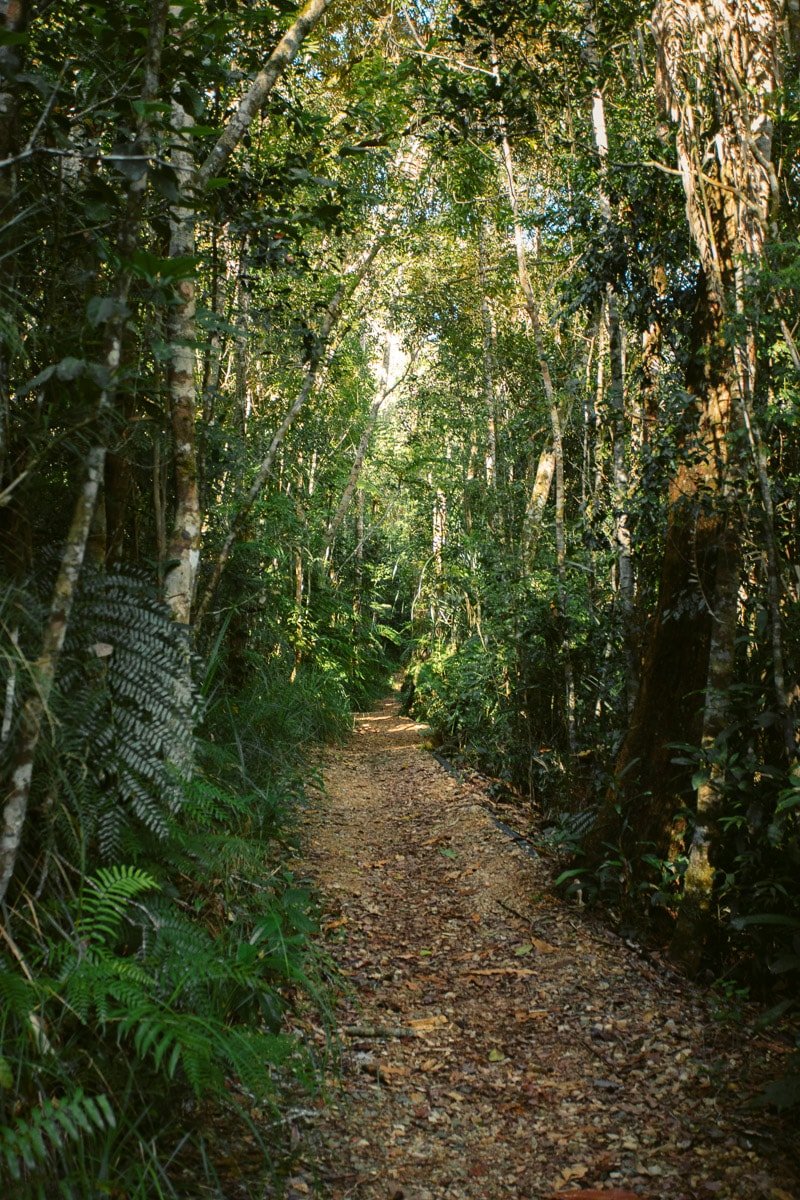 Tully Gorge Lookout & Falls: Complete Guide