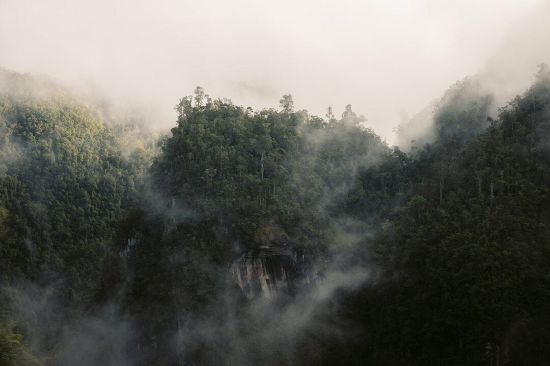 Tully Gorge Lookout & Falls: Complete Guide
