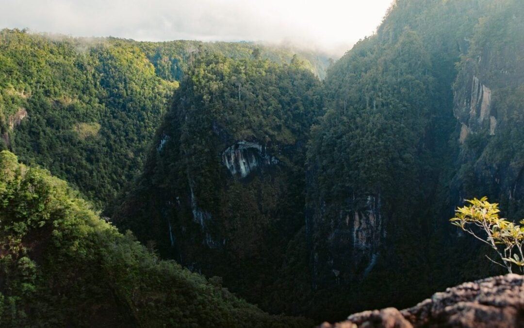 Tully Gorge Lookout & Falls: Complete Guide
