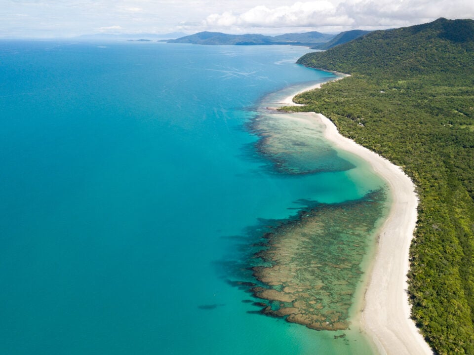 20 Best Things to Do in Cape Tribulation & the Daintree