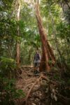 Hiking the Mount Sorrow Ridge Trail in Cape Tribulation