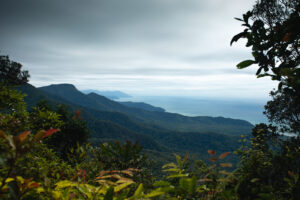 Hiking the Mount Sorrow Ridge Trail in Cape Tribulation