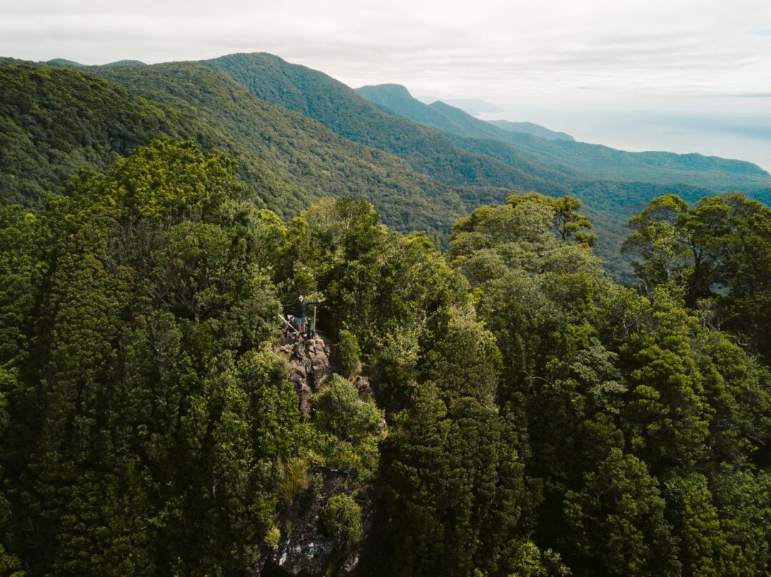 Hiking the Mount Sorrow Ridge Trail in Cape Tribulation