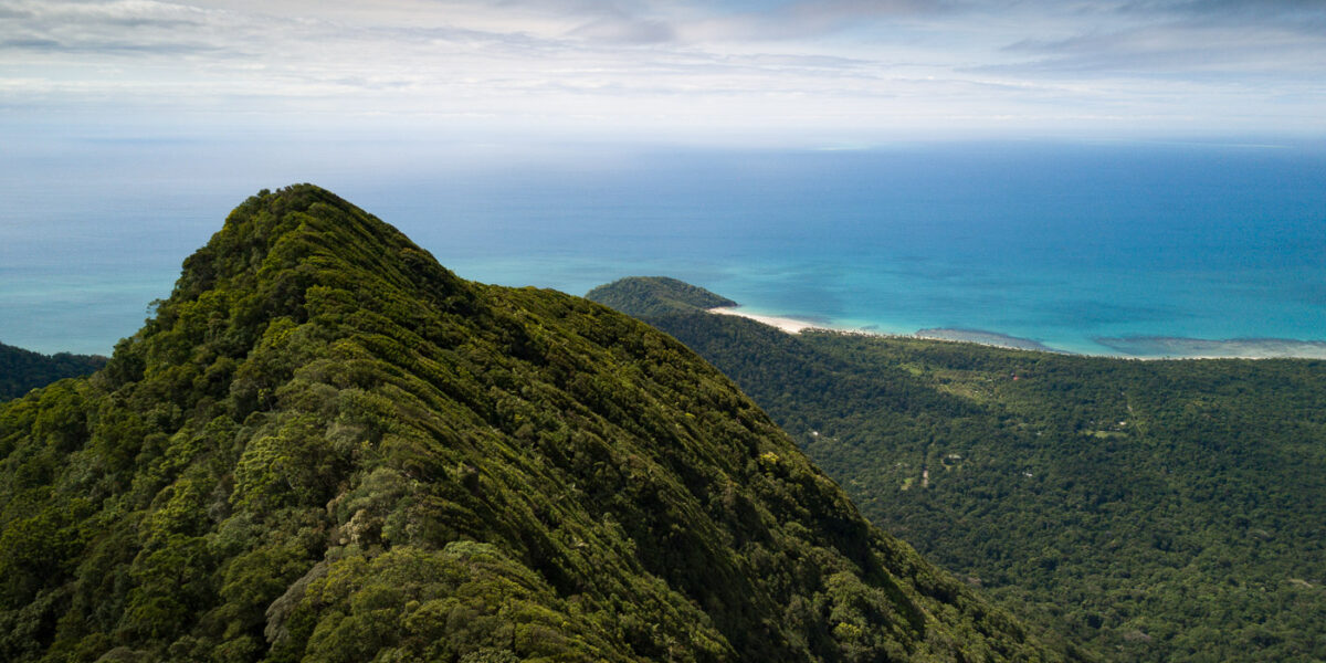 20 Best Things to Do in Cape Tribulation & the Daintree