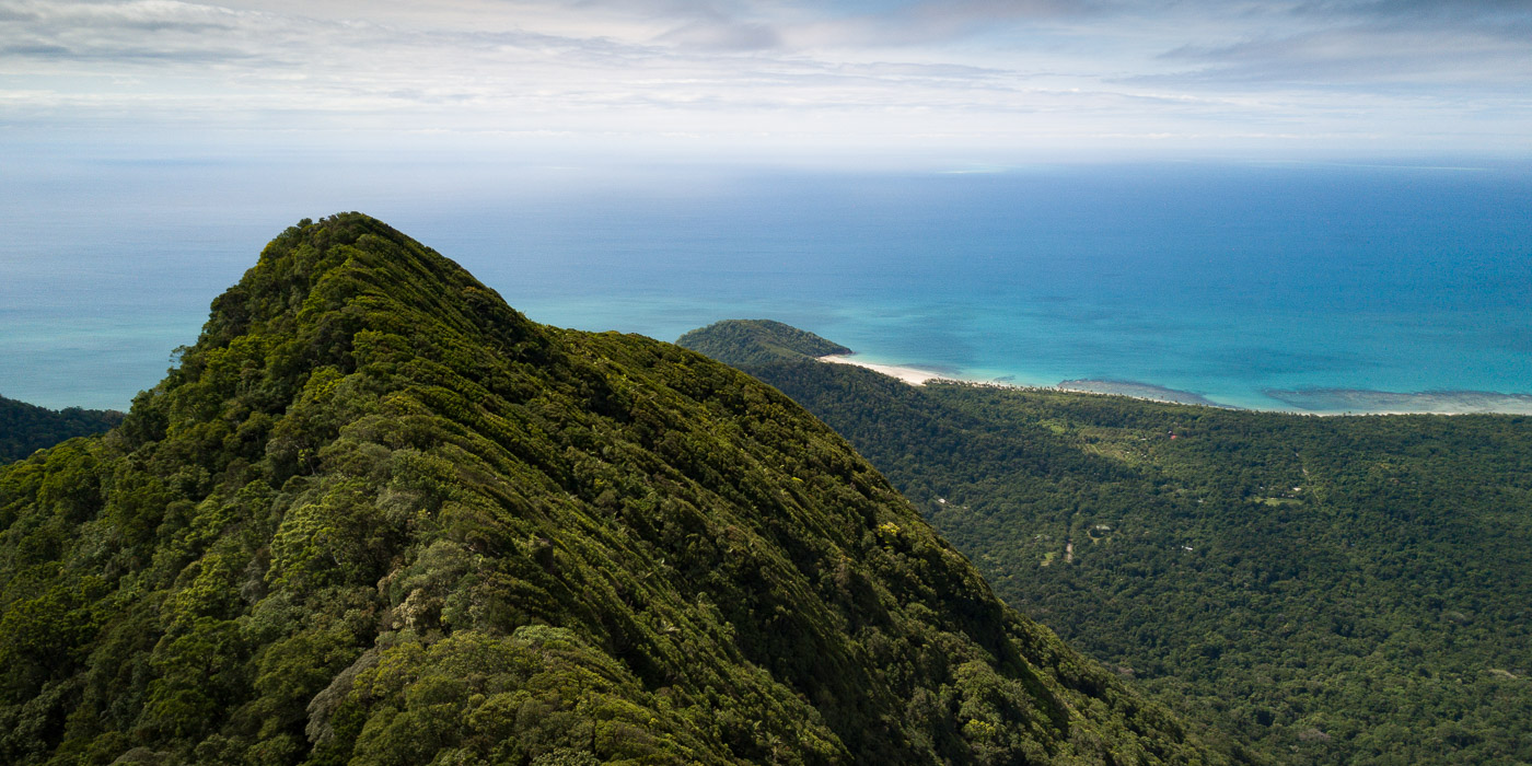 20 Things to do in Cape Tribulation & The Daintree - The Ultimate Cape ...