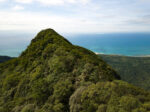 Hiking the Mount Sorrow Ridge Trail in Cape Tribulation