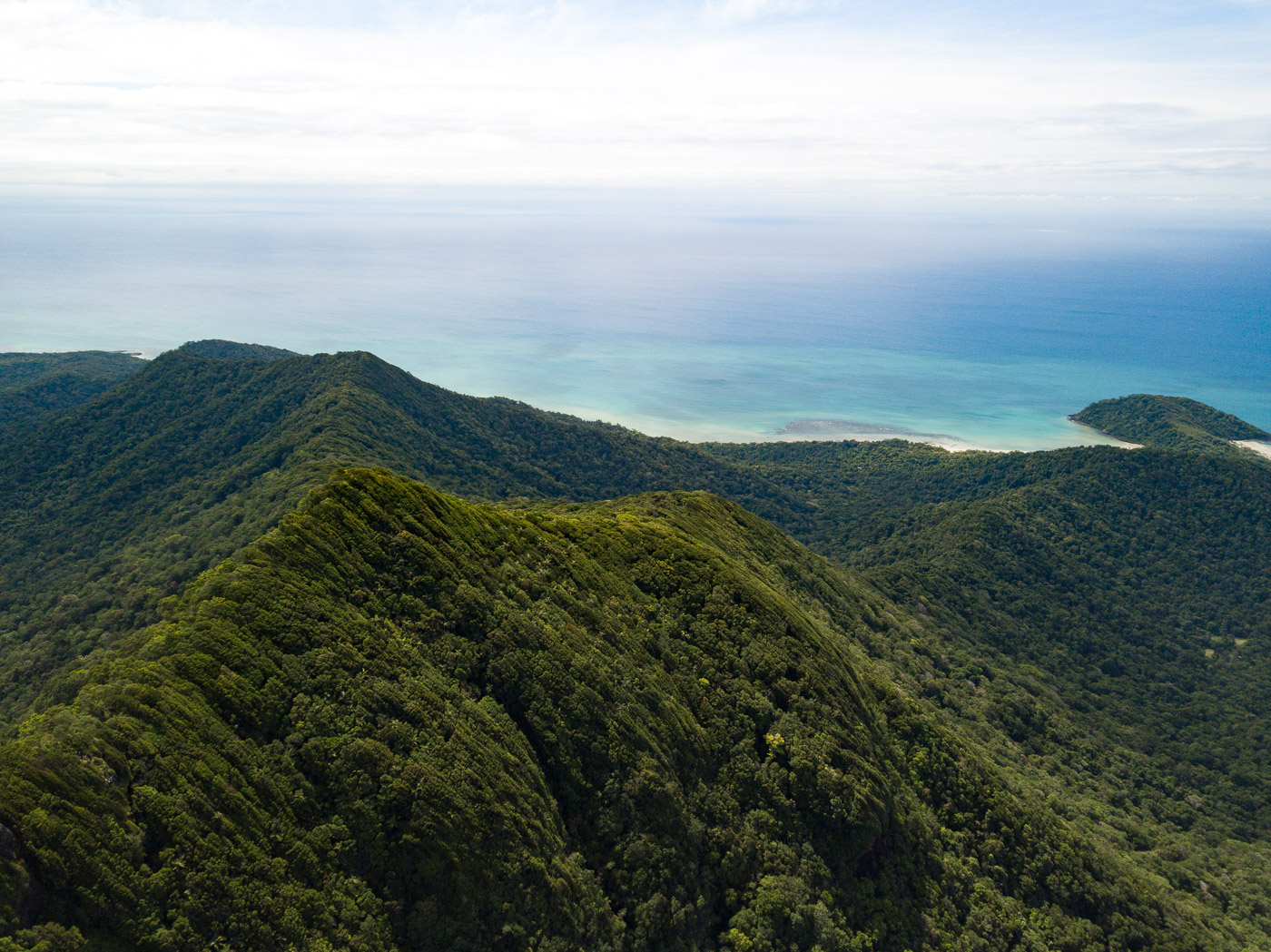 Mount Sorrow Hike - Cape Tribulation Hiking Guide – We Seek Travel