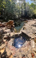 Visiting Cardwell Spa Pools in Queensland: Complete Guide