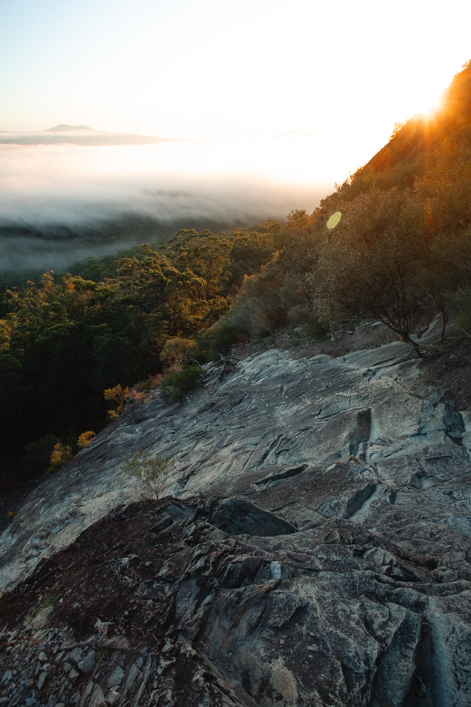 Mount Beerwah Climb - Summit Hike in the Glass House Mountains – We ...