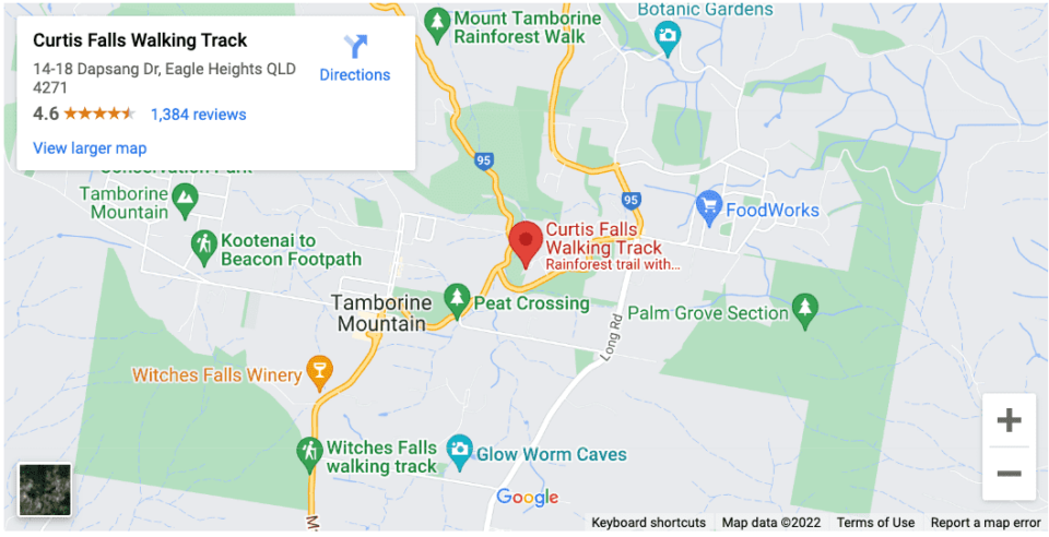 Curtis Falls & the Lower Creek Circuit Walk (Mt Tamborine)