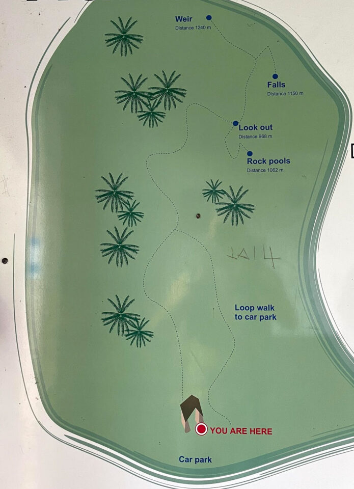 Halls Falls Tasmania: Waterfall Circuit & Hiking Guide