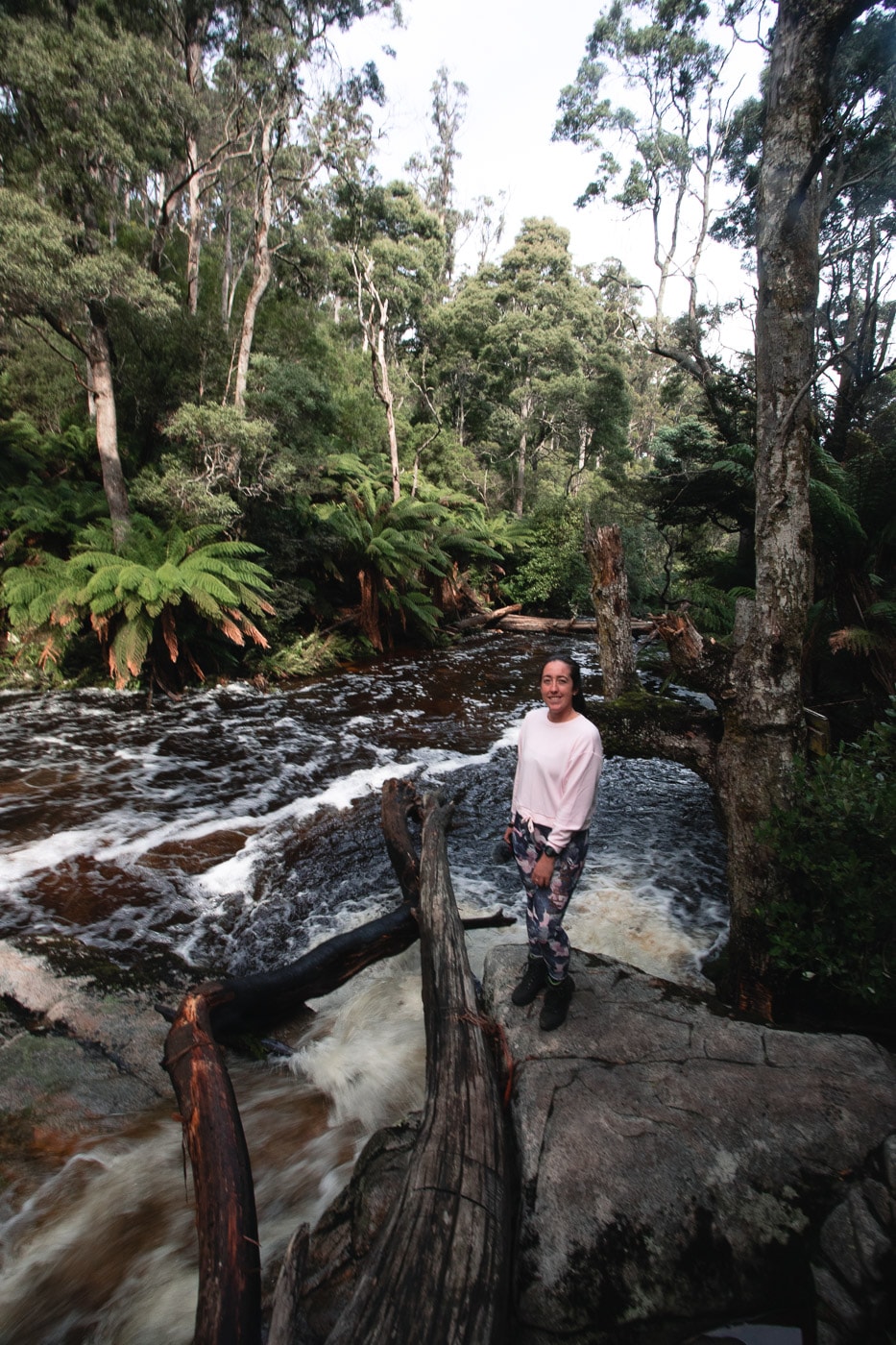 Halls Falls Tasmania - Waterfall & Hiking Guide – We Seek Travel