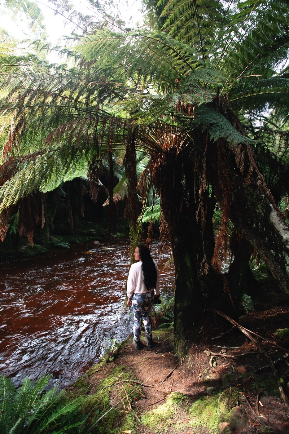 Halls Falls Tasmania - Waterfall & Hiking Guide – We Seek Travel