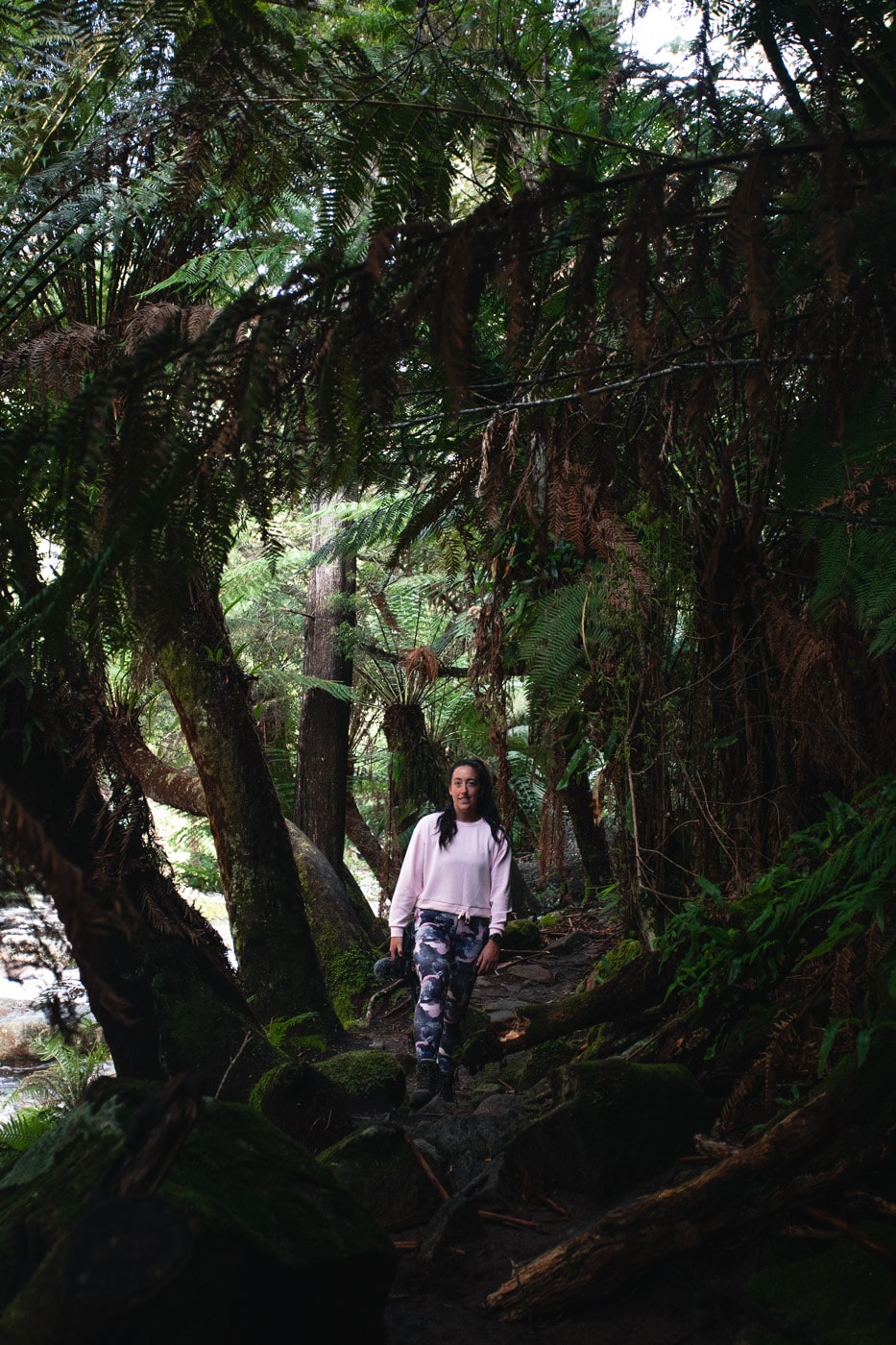 Halls Falls Tasmania - Waterfall & Hiking Guide – We Seek Travel