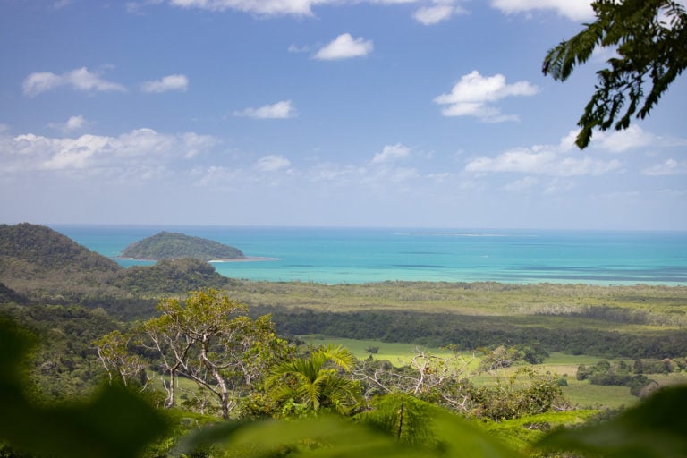 Cairns to Cape Tribulation - 2023 Guide to The Great Barrier Reef Drive ...