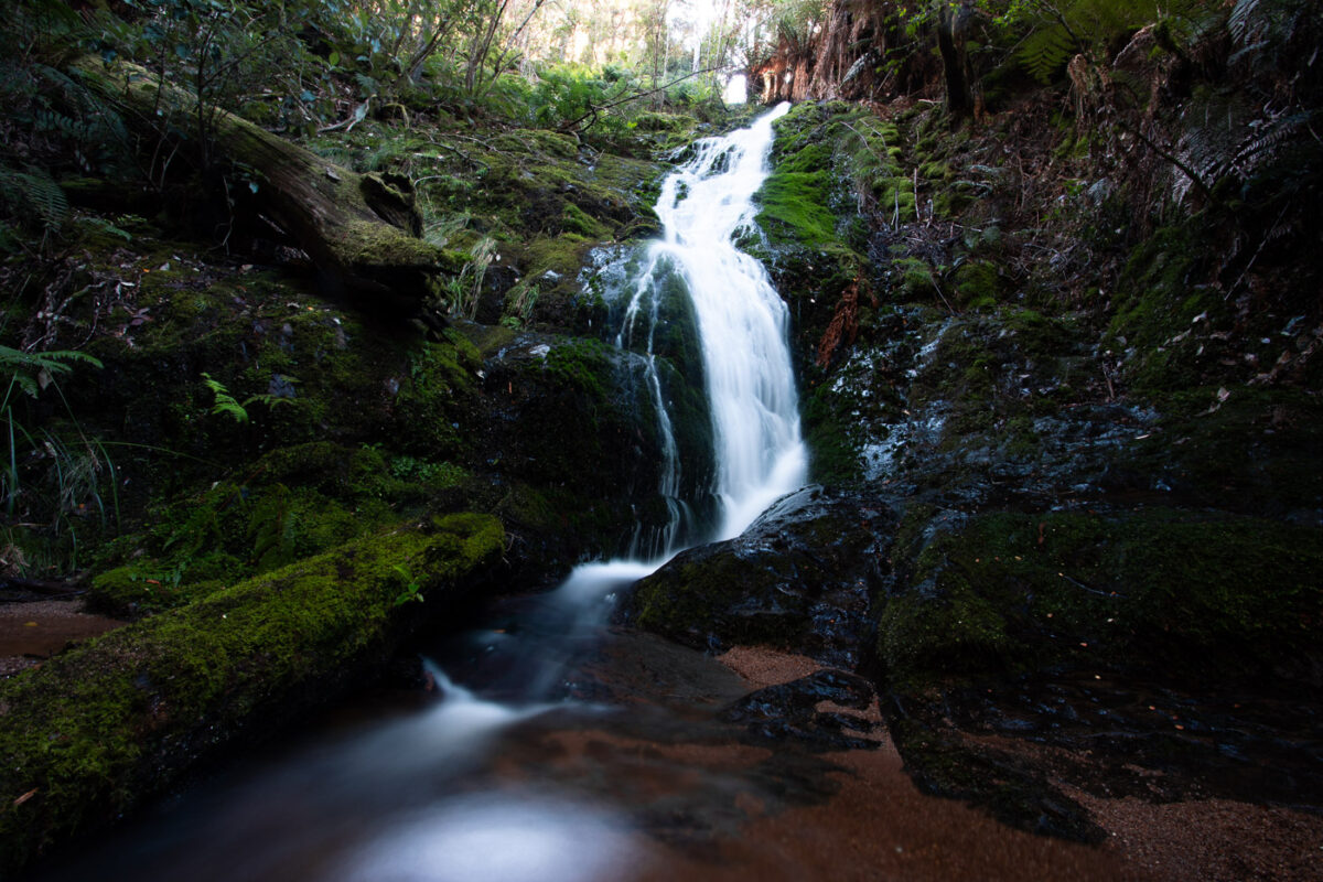 Evercreech Falls, White Knights Walk & Camping at Evercreech Forest Reserve