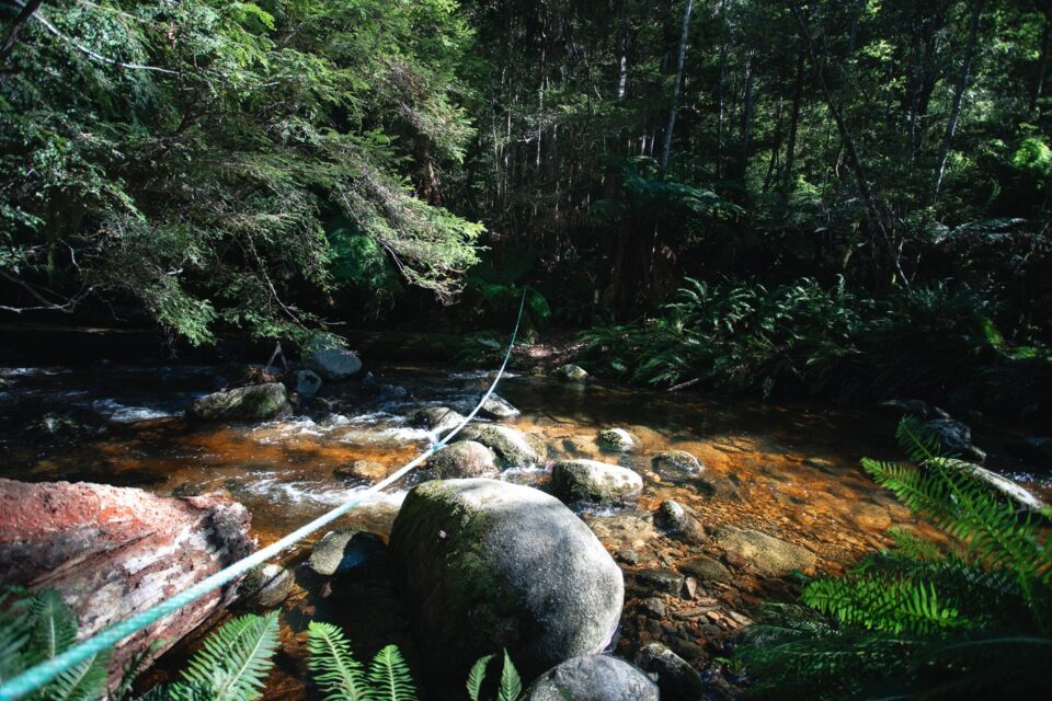 Evercreech Falls Forest Reserve & White Knights Walk